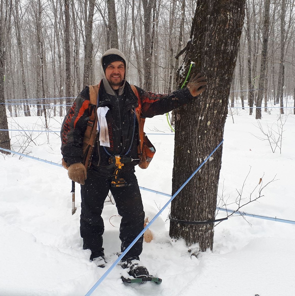Saison des sucres, entretien avec le président régional des ...